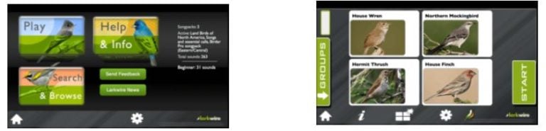 11 Best Birding Apps in 2025! (iPhone & Android) - Bird Watching HQ