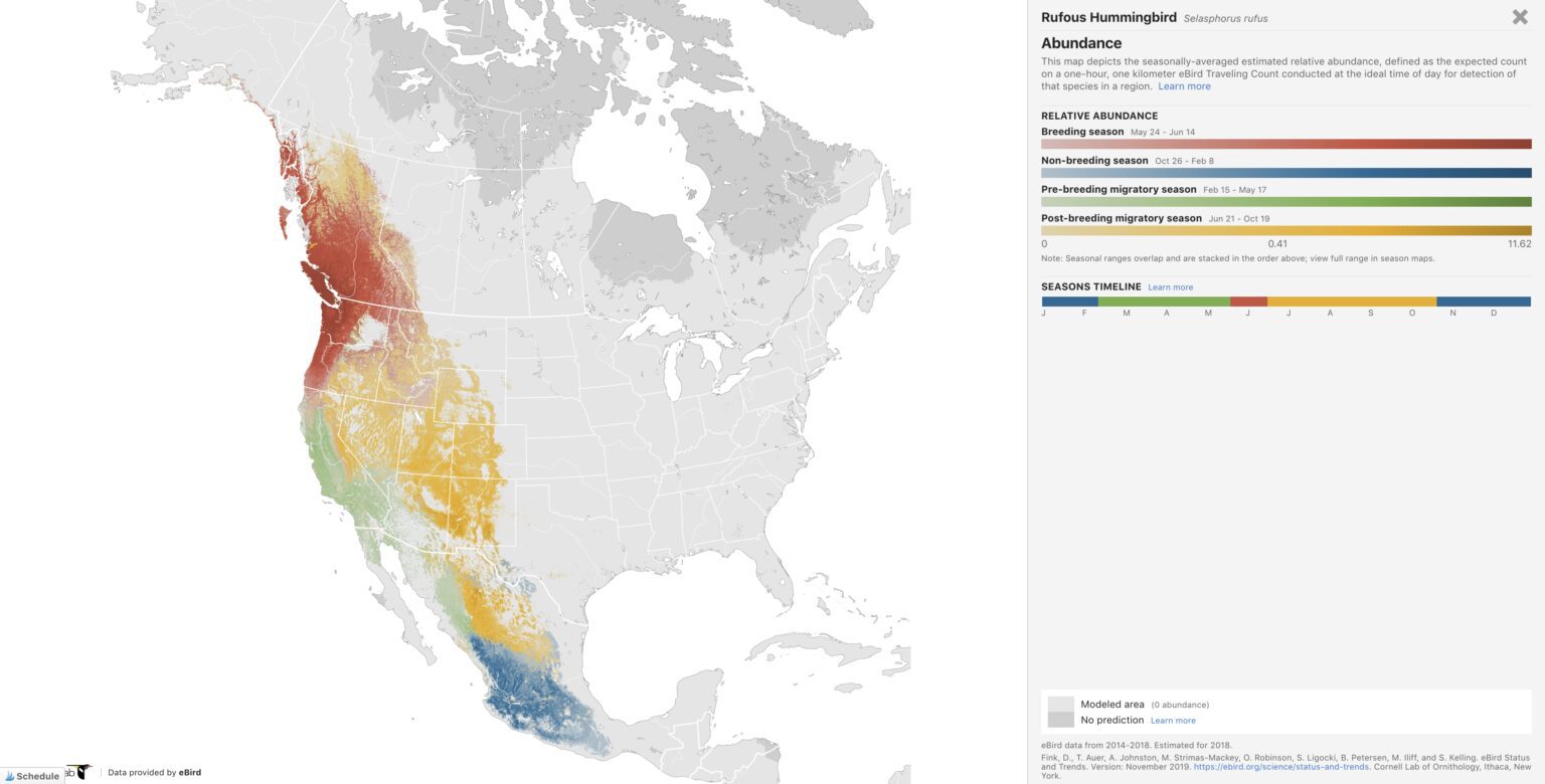 17 FUN Facts About Hummingbirds! (that will make you hum) - Bird ...