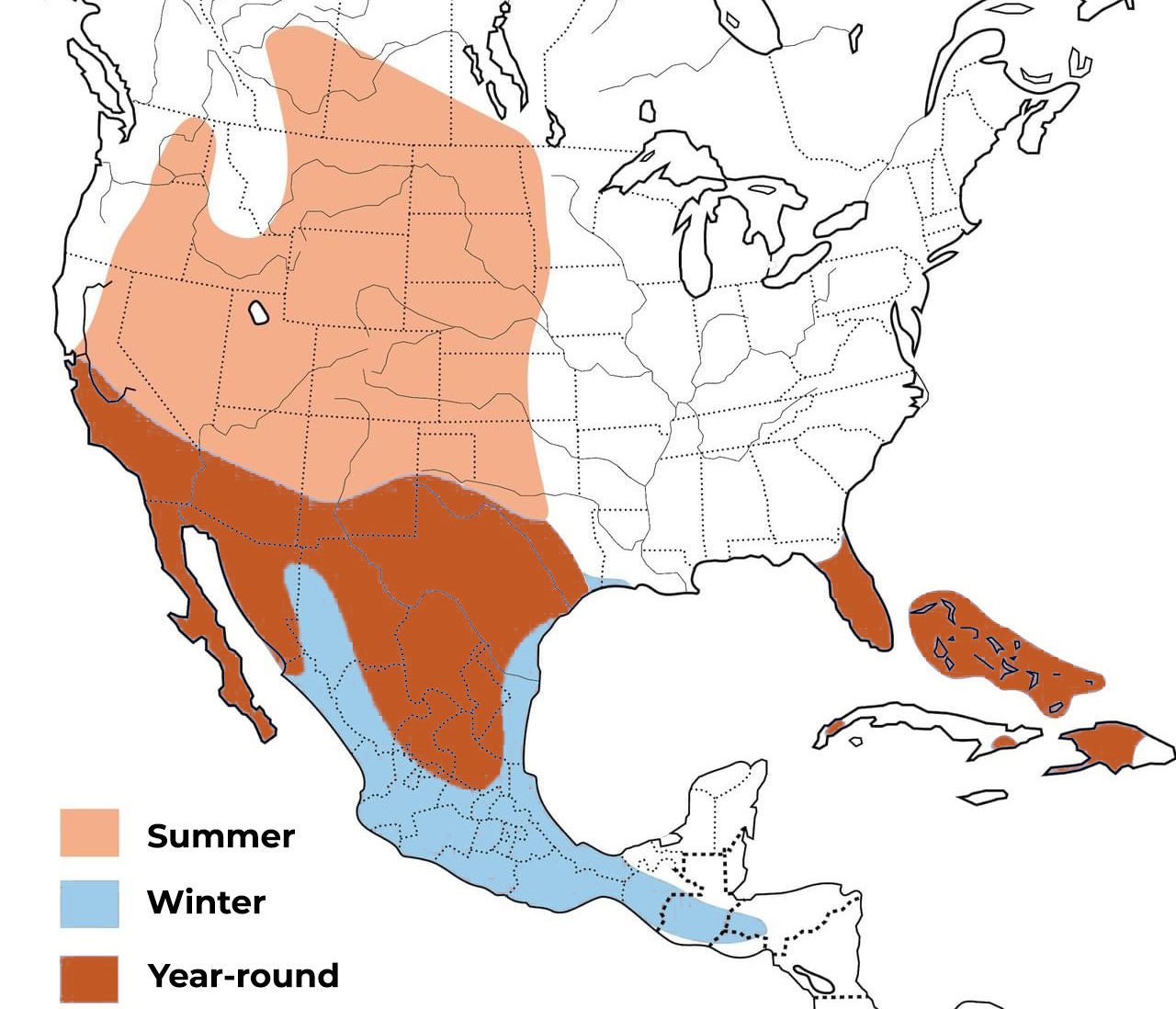 13 Owl Species That Live in Oregon! (2023) - Bird Watching HQ