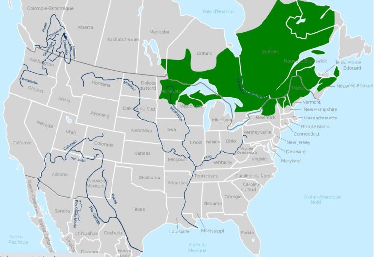 8 Types of Frogs Found in New Hampshire! - Bird Watching HQ