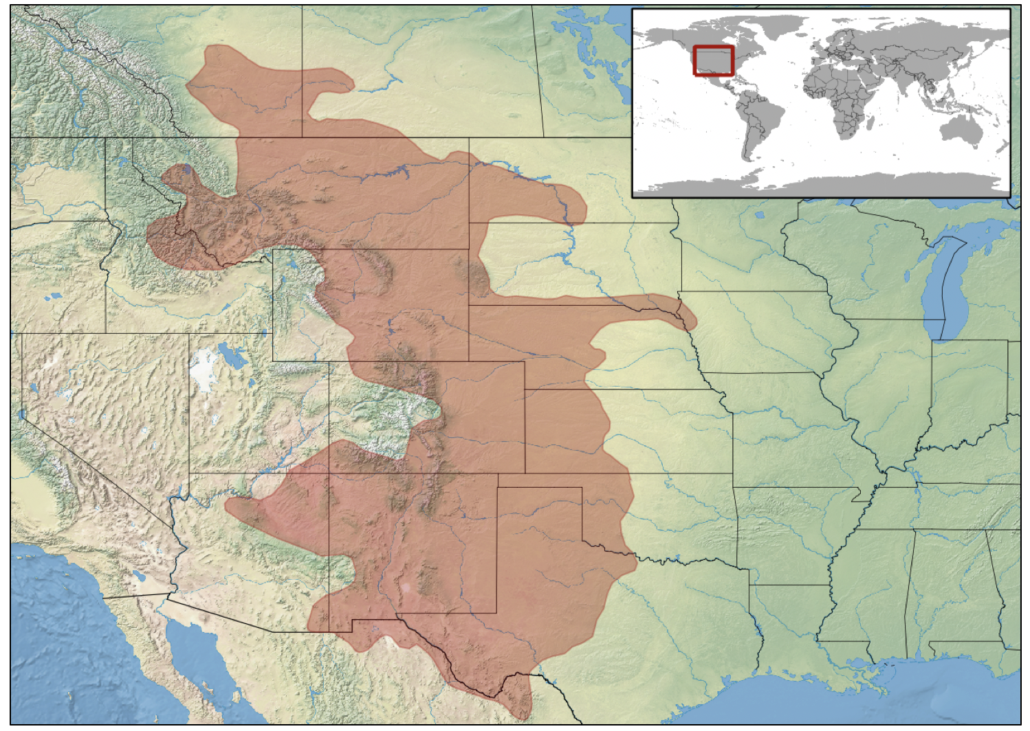 9 Types of SNAKES That Live in Saskatchewan! (ID Guide) - Bird Watching HQ