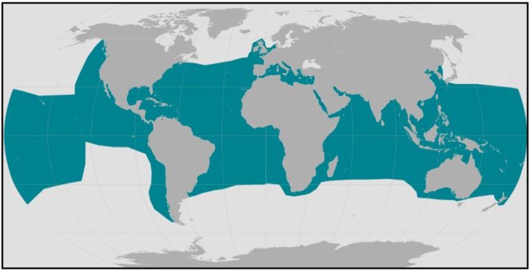 27 Types of Turtles Found in Texas! (ID Guide) - Bird Watching HQ