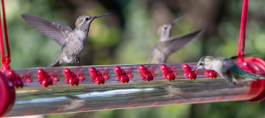 10 UNIQUE Hummingbird Feeders (#7 will make you laugh!) - Bird Watching HQ