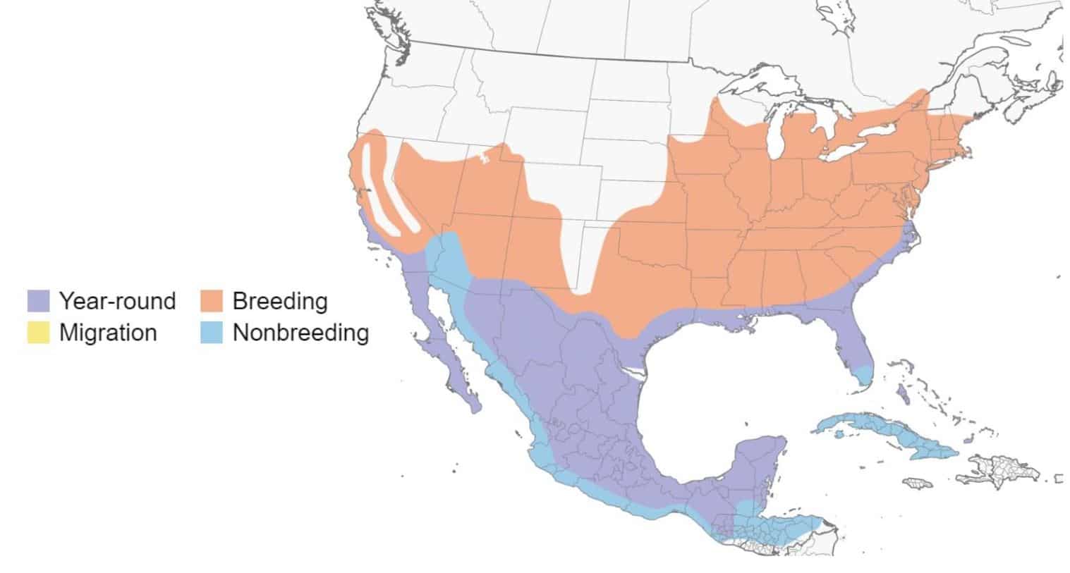 18 SMALL Birds that live in Pennsylvania (2025) - Bird Watching HQ