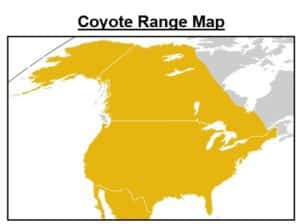 23 Most DANGEROUS Animals in Canada! (2024) - Bird Watching HQ