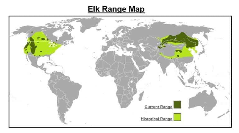 33 Types of MAMMALS Found in Pennsylvania! (2023) - Bird Watching HQ