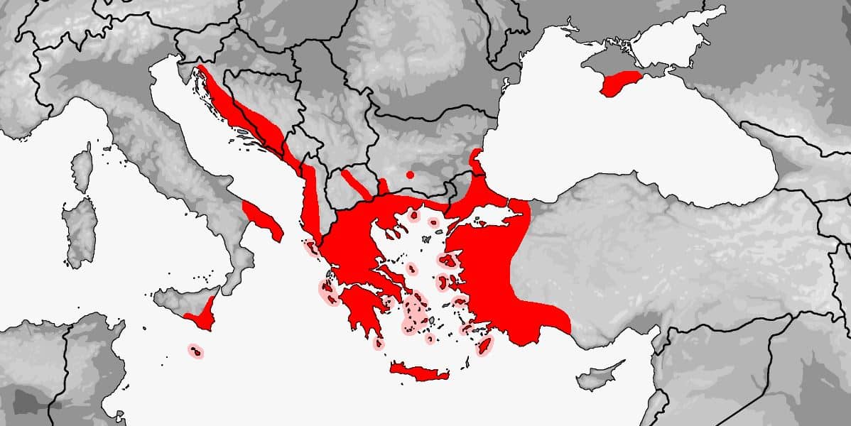 13 Types of Snakes That Live in Turkey! (ID Guide) - Bird Watching HQ