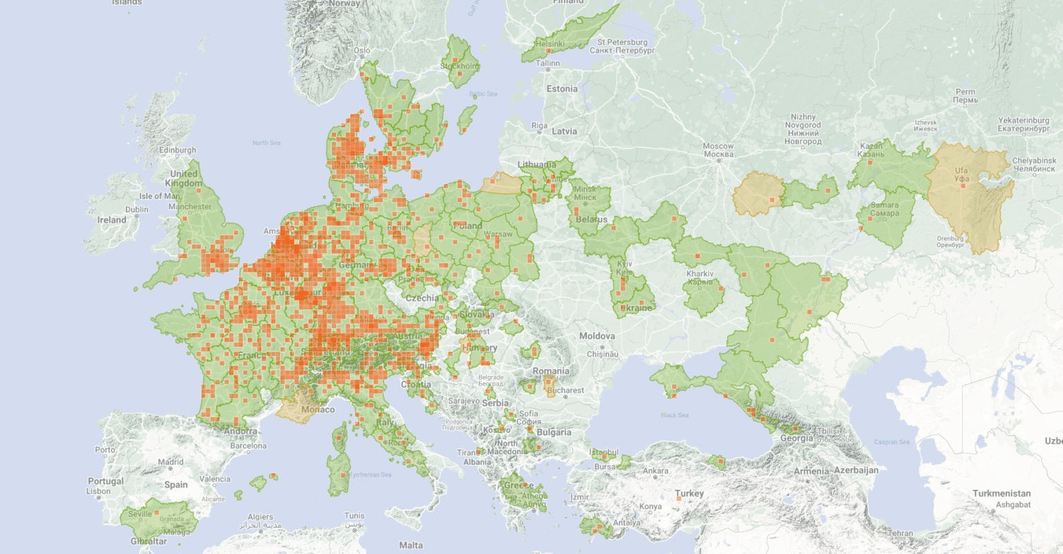The 20 MOST Common SPIDERS Found in Austria! (2023) - Bird Watching HQ