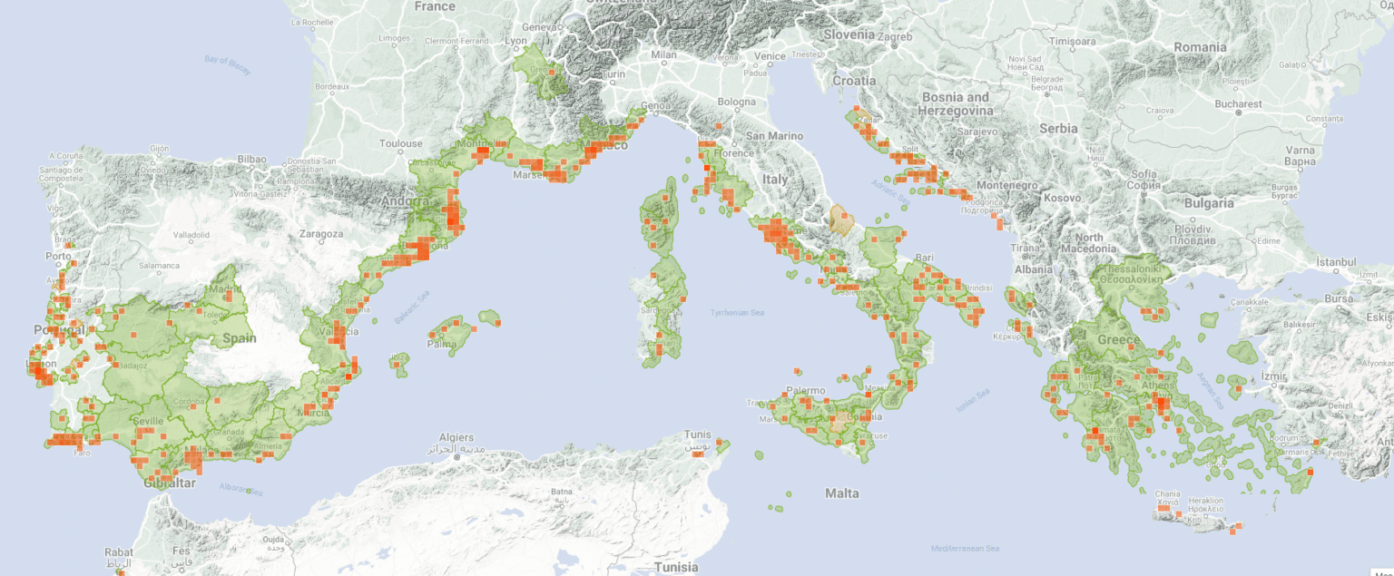 13 MOST Common SPIDERS Found in Greece! (2024) - Bird Watching HQ