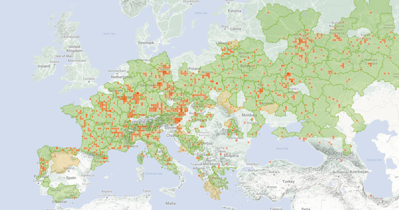 16 MOST Common SPIDERS Found in Russia! (2024) - Bird Watching HQ
