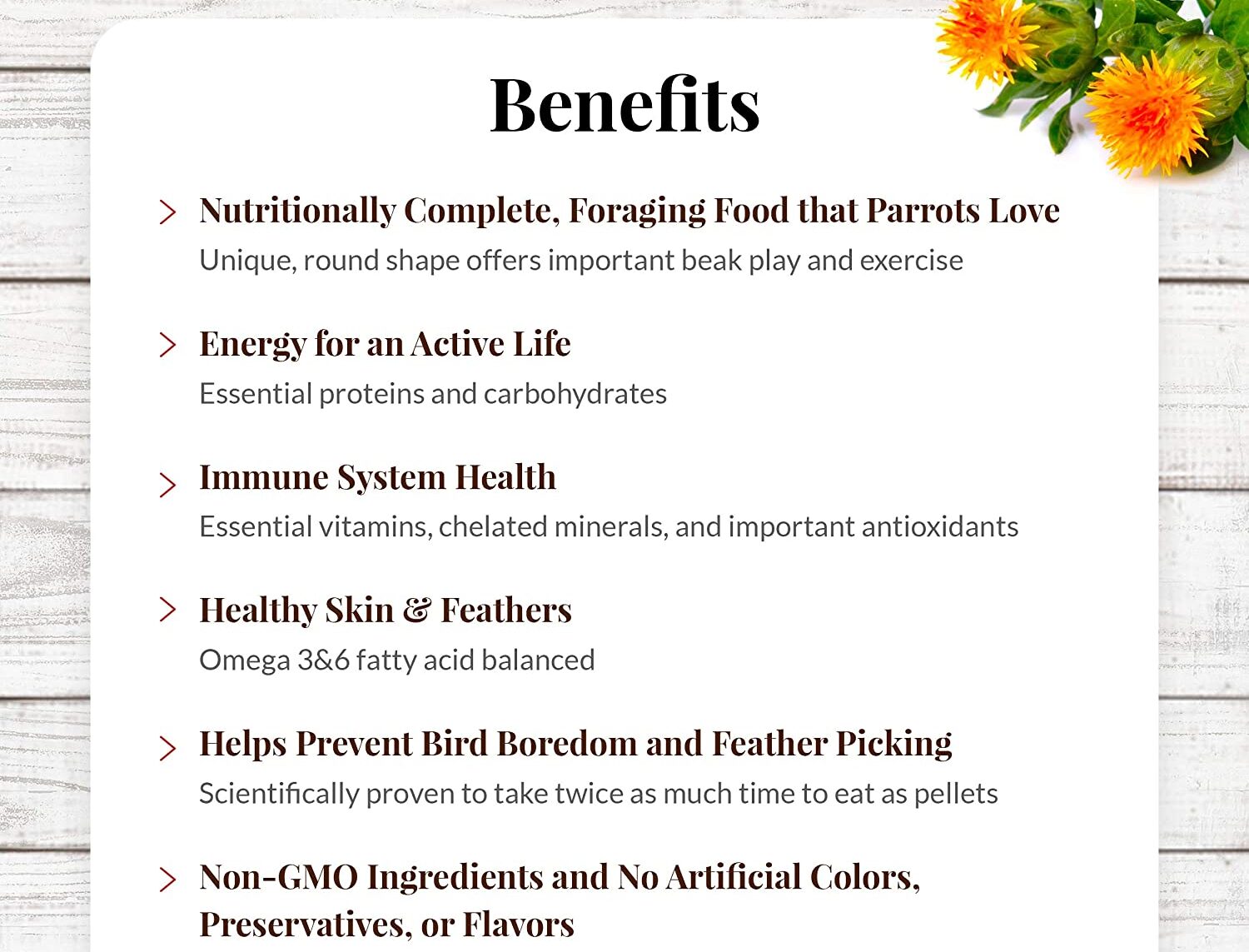 13 BEST Foods for Cockatoos (Complete diets & treats) - Bird Watching HQ