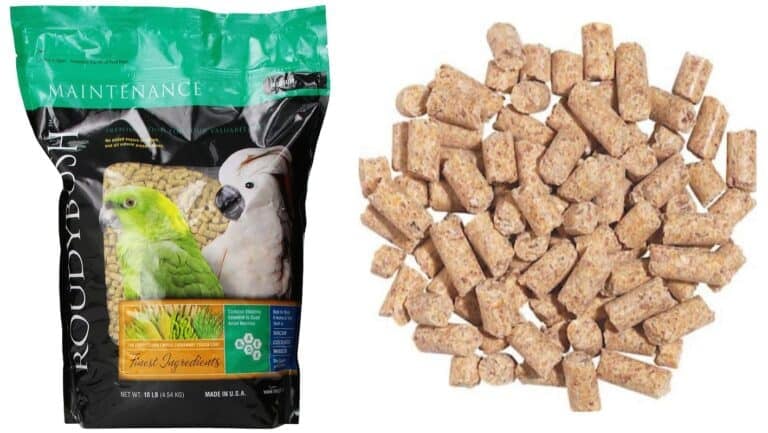 13 BEST Foods for PARROTS in 2025 (Complete diets/treats) - Bird ...