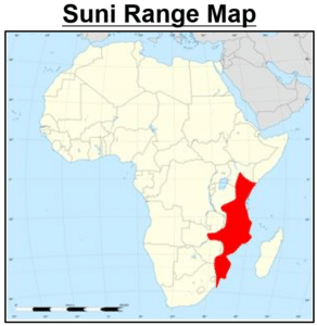 24 Types of Antelope found in Africa (2023) - Bird Watching HQ