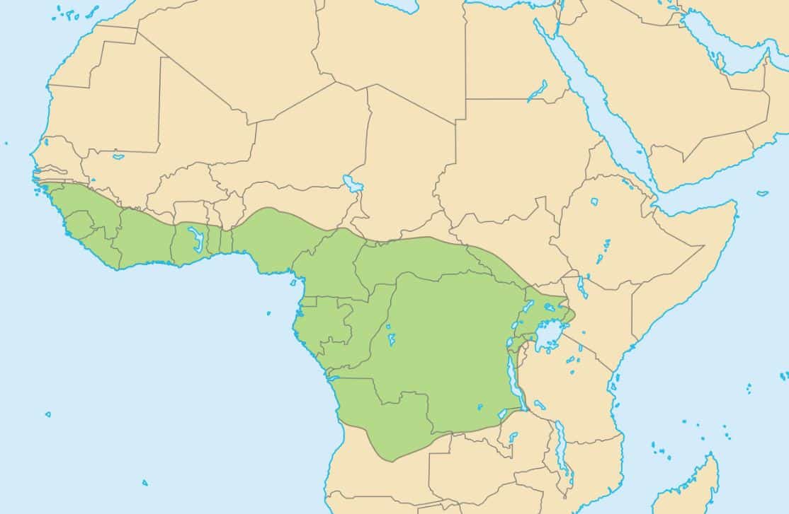 27 Amazing ANIMALS to see in Sudan! (ID guide w/ pics) - Bird Watching HQ